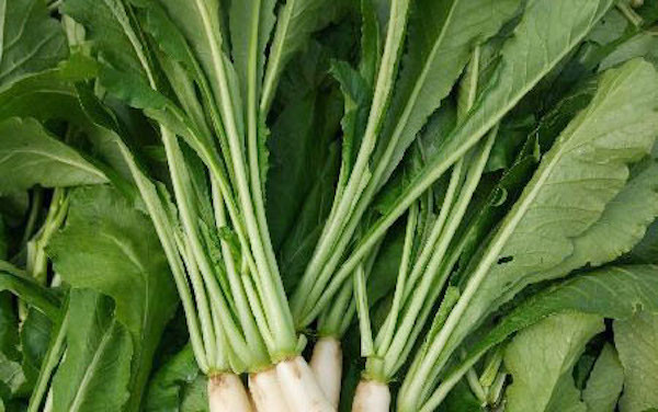 7 Manfaat Lobak Putih, Khasiatnya Bisa untuk Obati Penyakit Ini