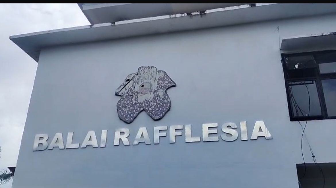 Segera Pindah! Kantor Dinsos dan DLH Bakal Tempati Balai Rafflesia ...
